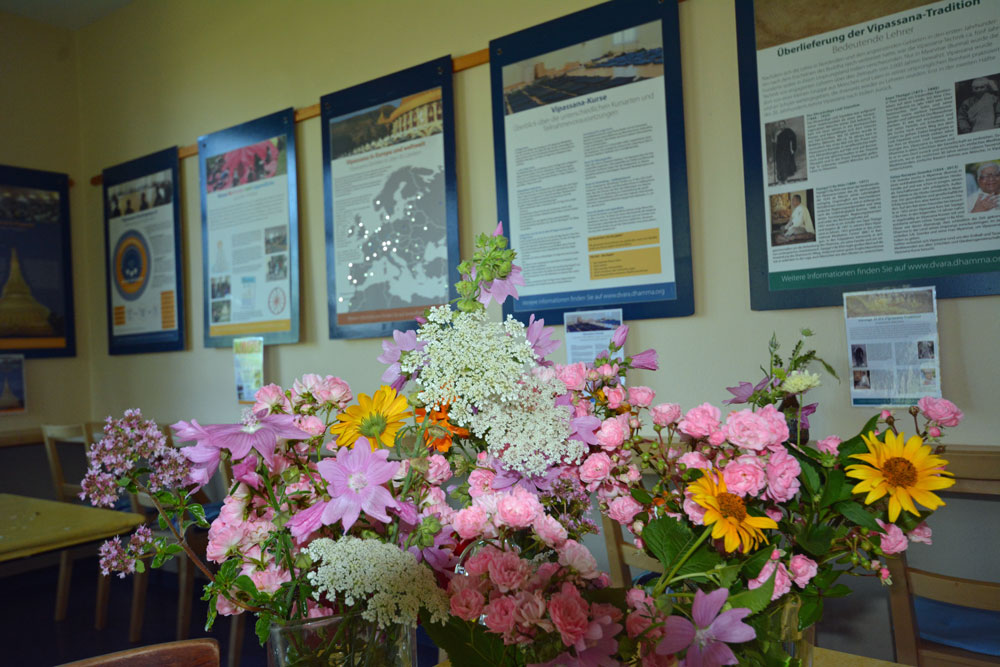 Dhamma Dvara Newsletter