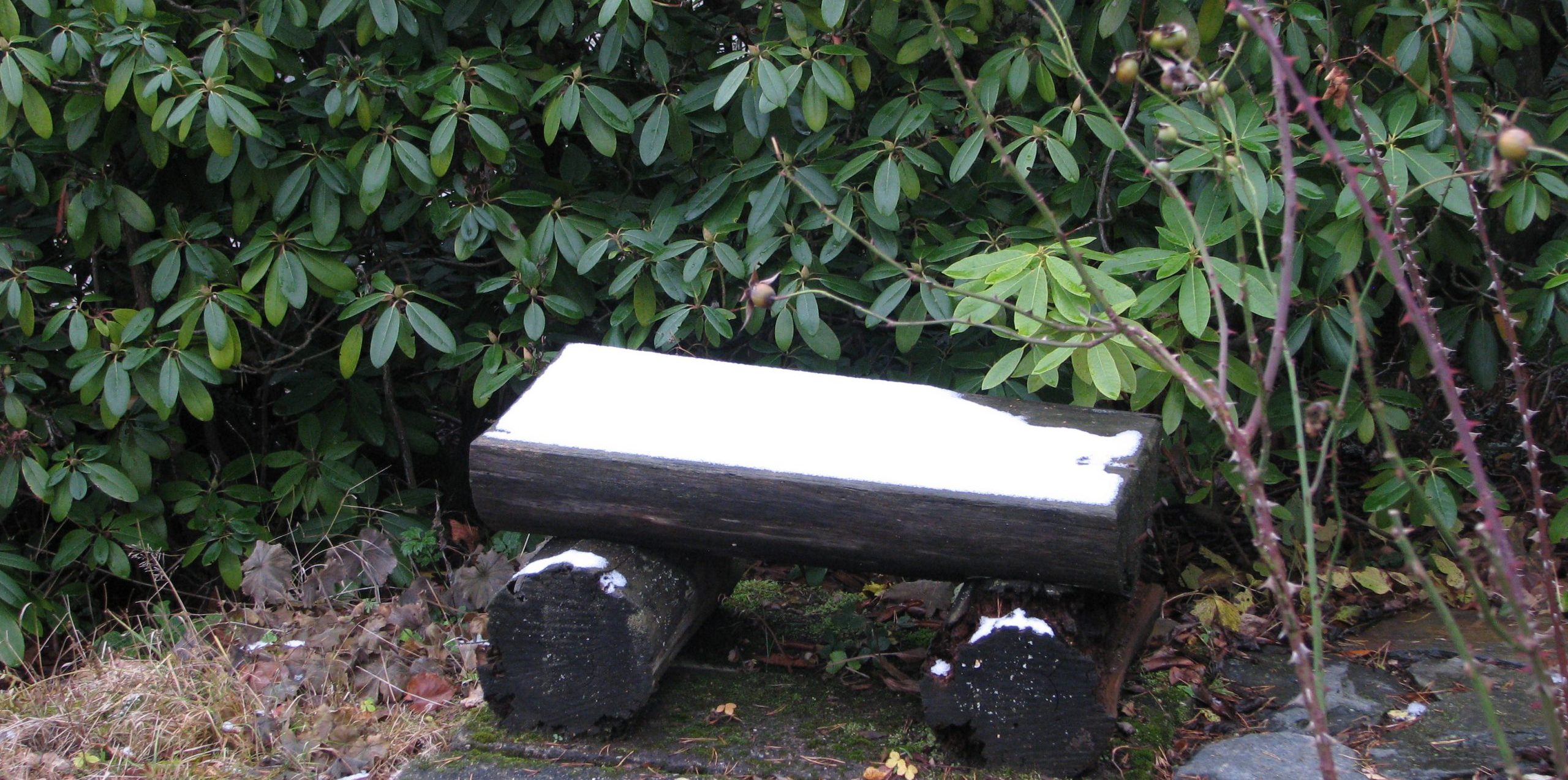 Dhamma Dvara Newsletter