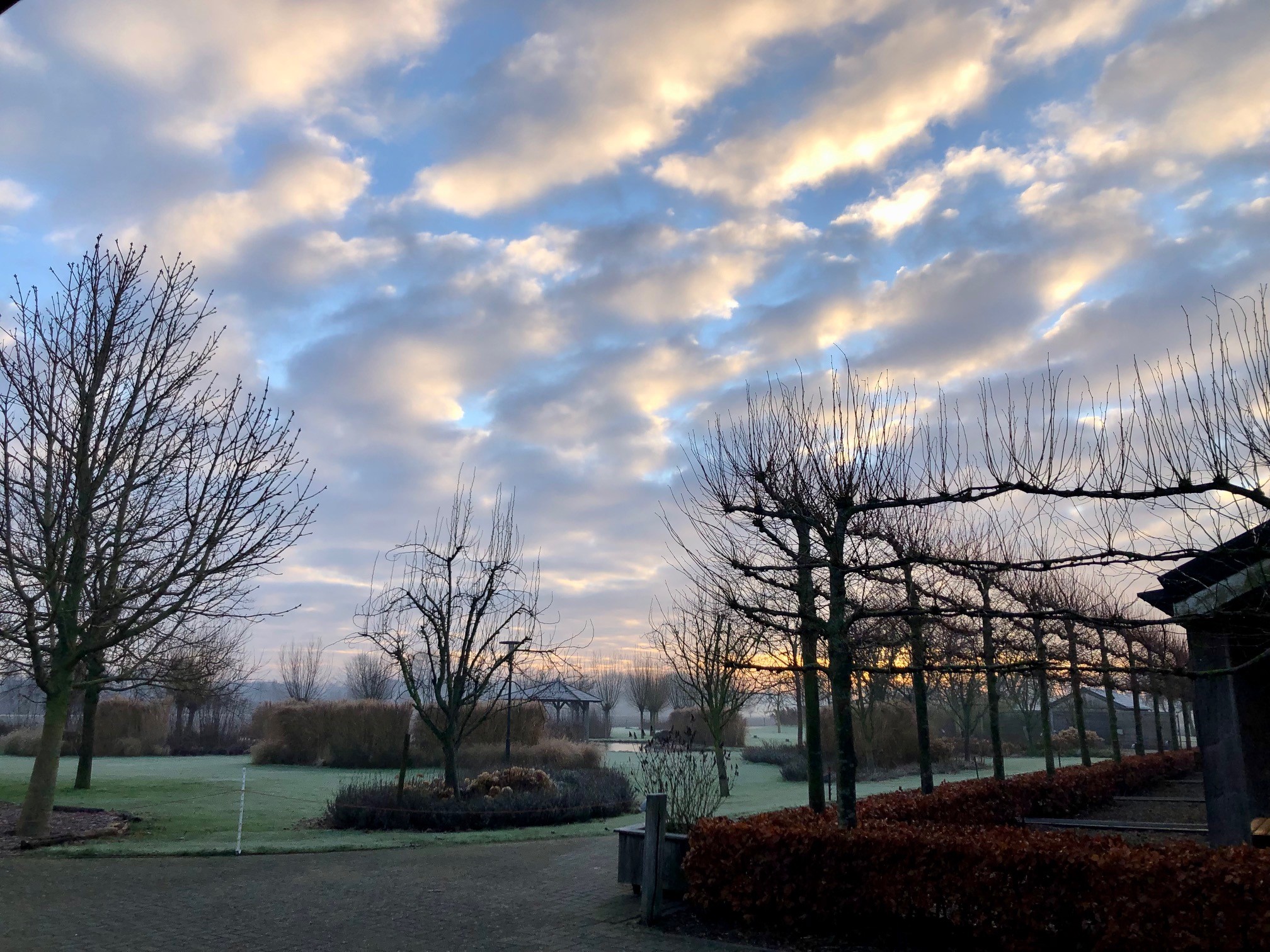 Dhamma Dvara Newsletter